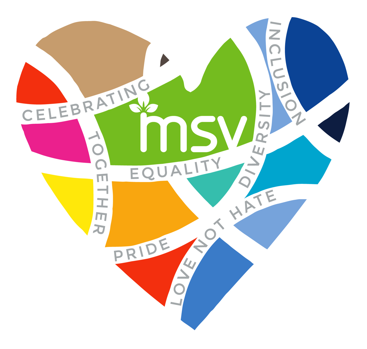 The MSV Board